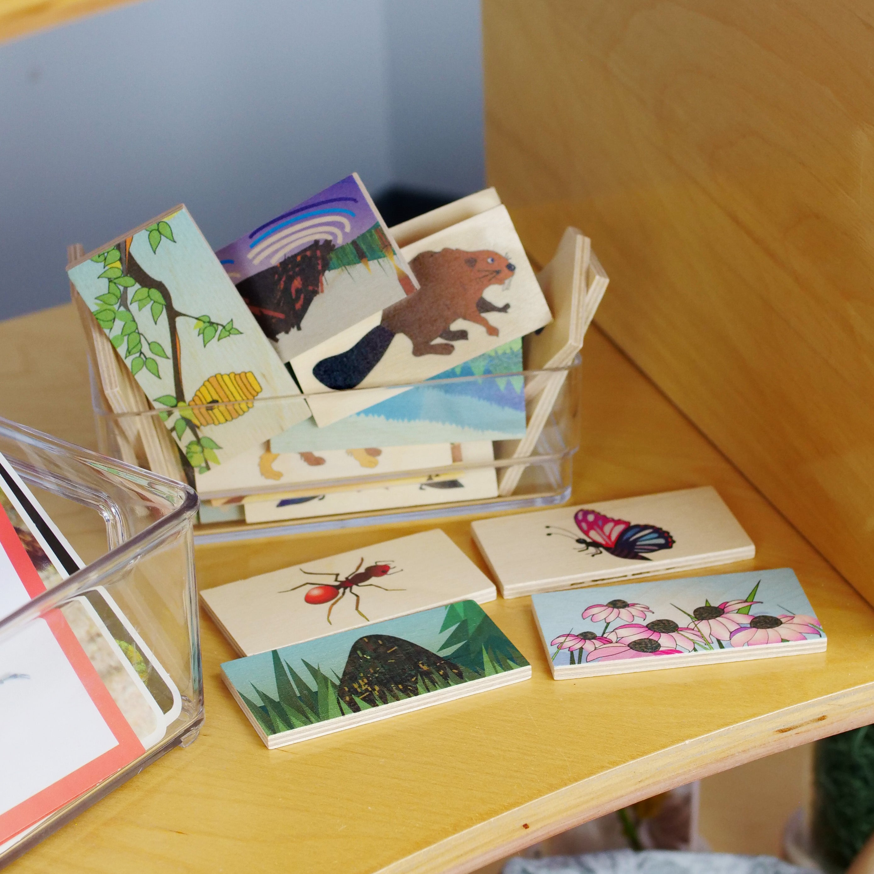 Kodo Enhancing Discovery Basic Kit — Teaching Strategies
