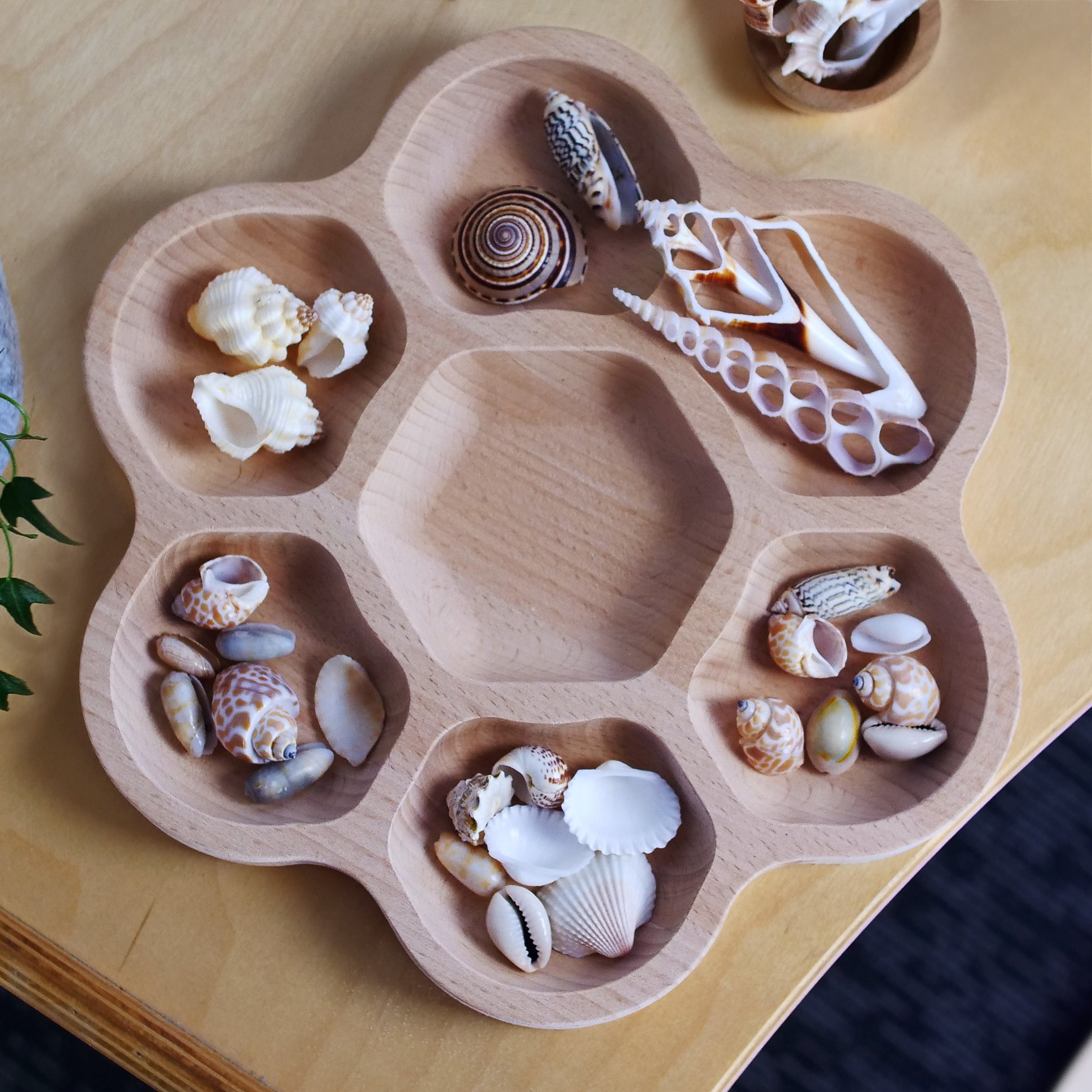 Kodo Enhancing Discovery Basic Kit — Teaching Strategies